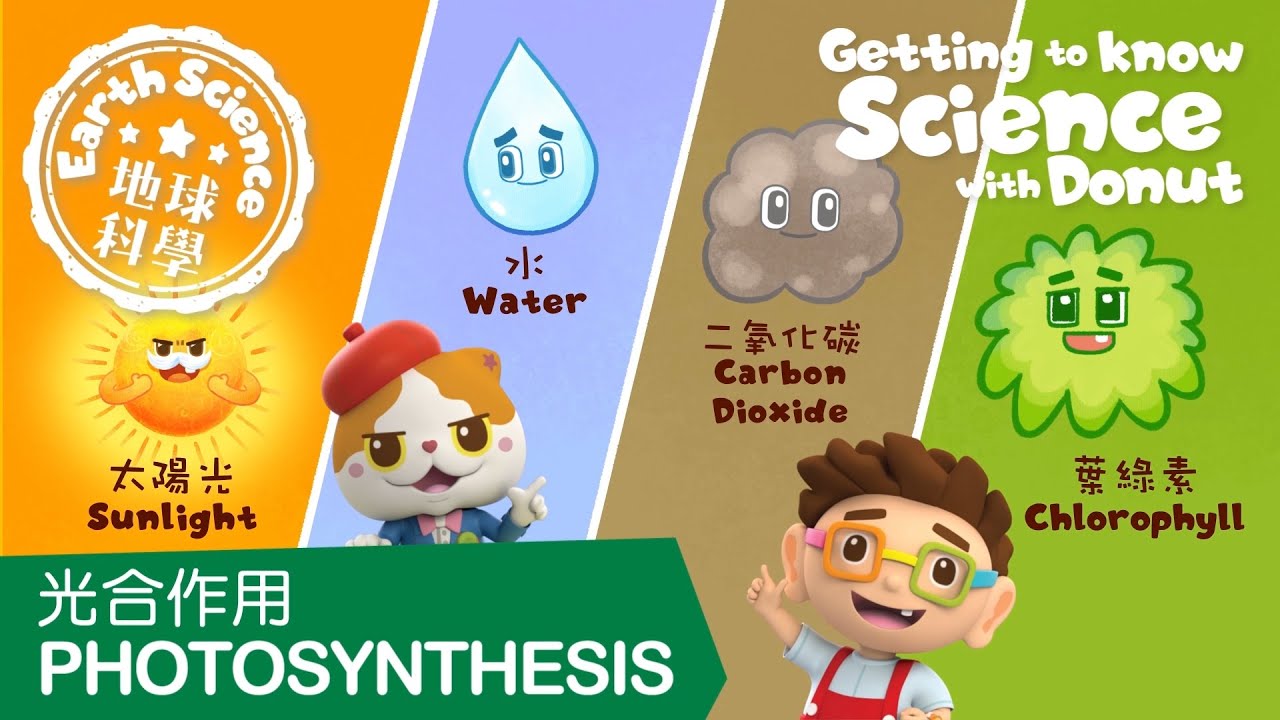 【Getting to Know Science with Donut】—「地球科學」之 光合作用 - YouTube