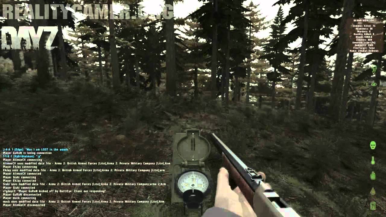 DAYZ: Escape to Devil's Castle #2 (Black Forest) HD Longplay - YouTube
