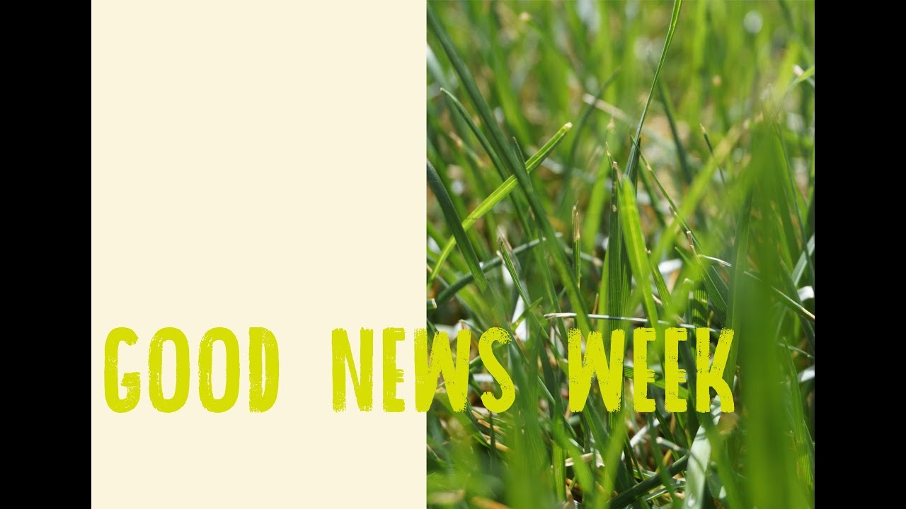 Good News Week 1 - YouTube
