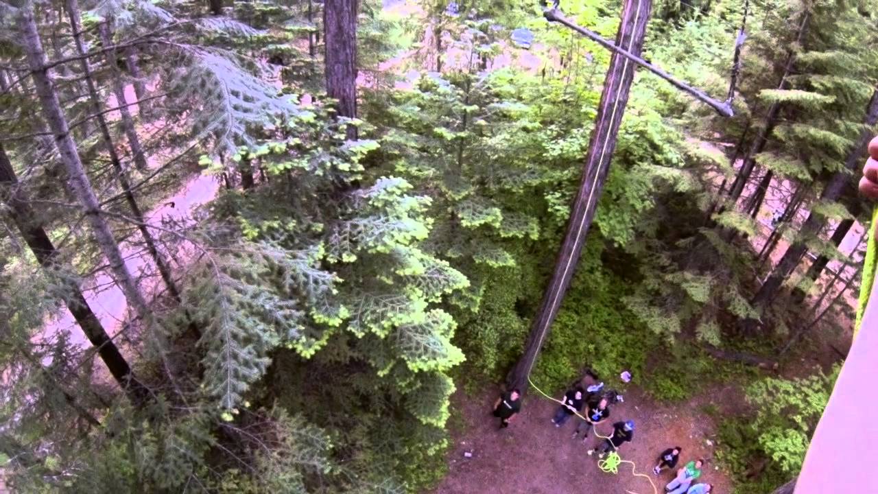Pamper Pole - YouTube