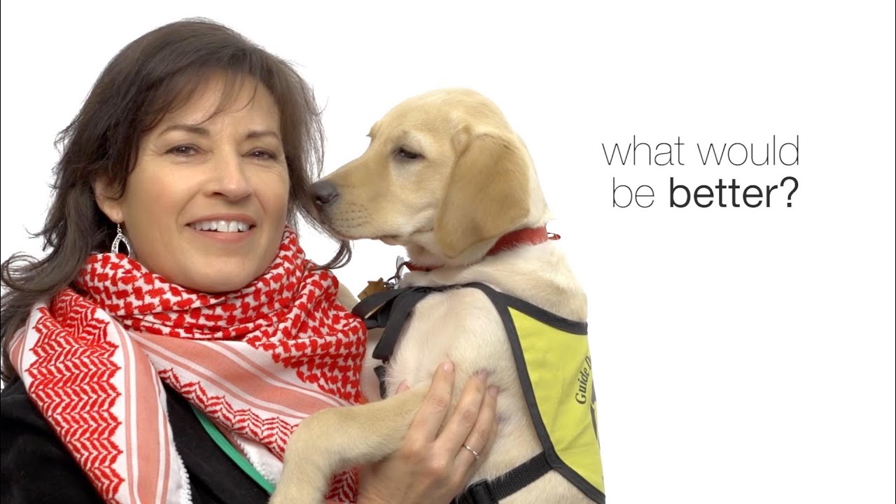 What Would Be Better: Accommodation - YouTube