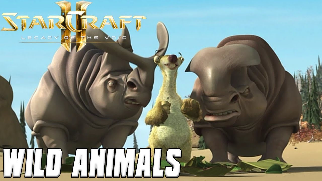 Wild Animals - Starcraft 2 Mod - YouTube