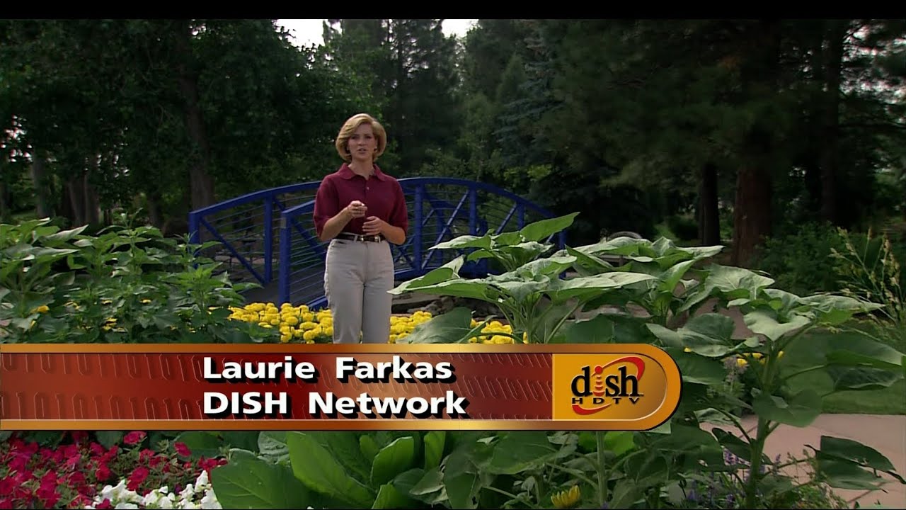 Dish Network HDTV Demo (2001) - YouTube