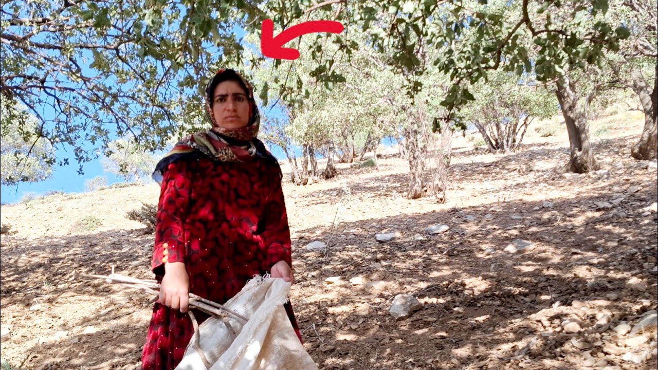 Sarah, a nomadic woman, struggles with difficulties in the mountains ...