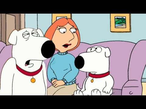 family guy reaction brian in love - YouTube