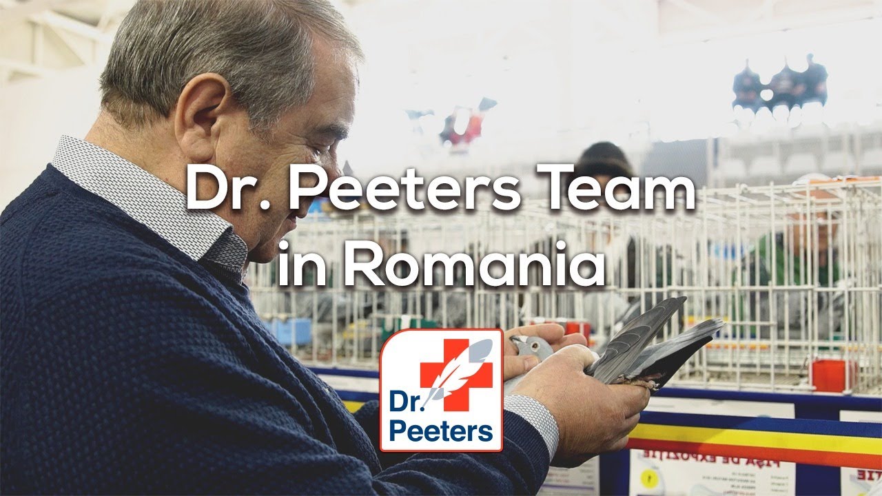 Dr. Peeters in Romania | porumbei360.ro | U.C.P.R. Expo Prahova 2019 ...