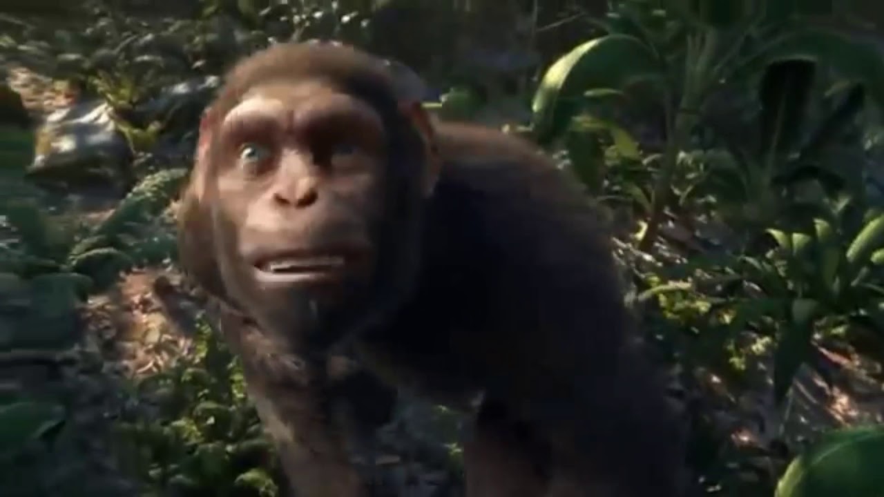 Poopah fartlinlingalounge - YouTube