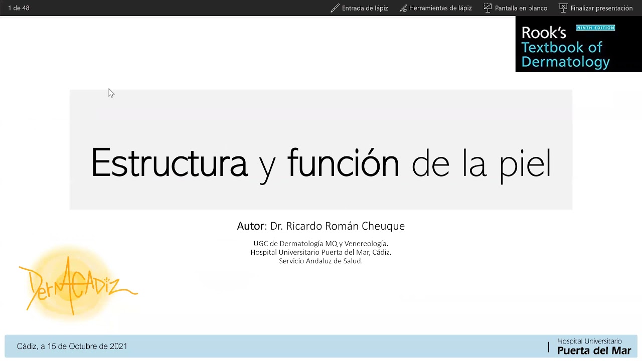 ESTRUCTURA Y FUNCION DE LA PIEL - YouTube