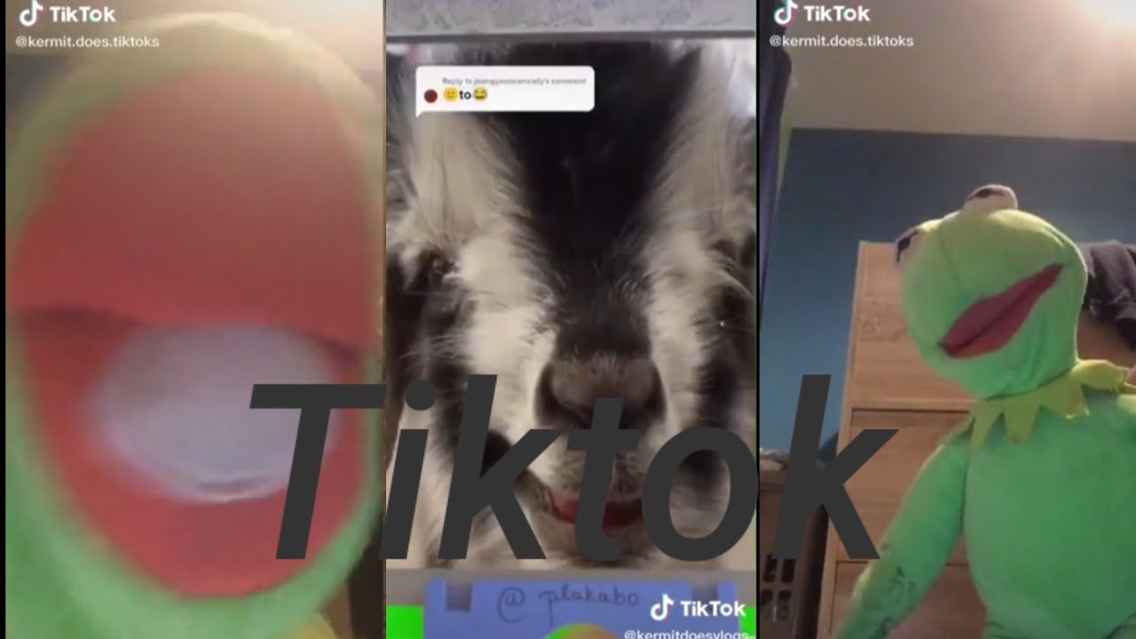 Kermit Does Tiktoks Funniest Videos Of Compilation - YouTube