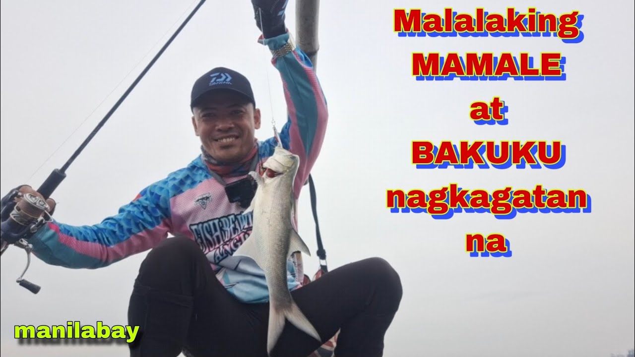 MAMALE at BAKUKU nagkagatan na sa manilabay /@jenrobstv - YouTube