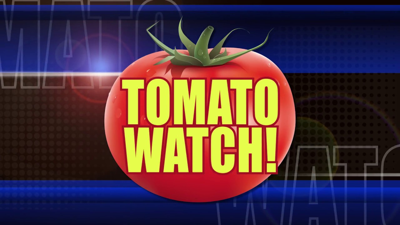 Tomato Watch: Tomato Sale 2017 - YouTube
