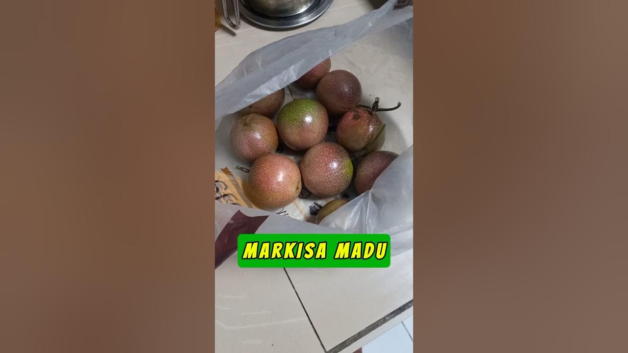 Panen Markisa Madu #1 #shortvideo - YouTube