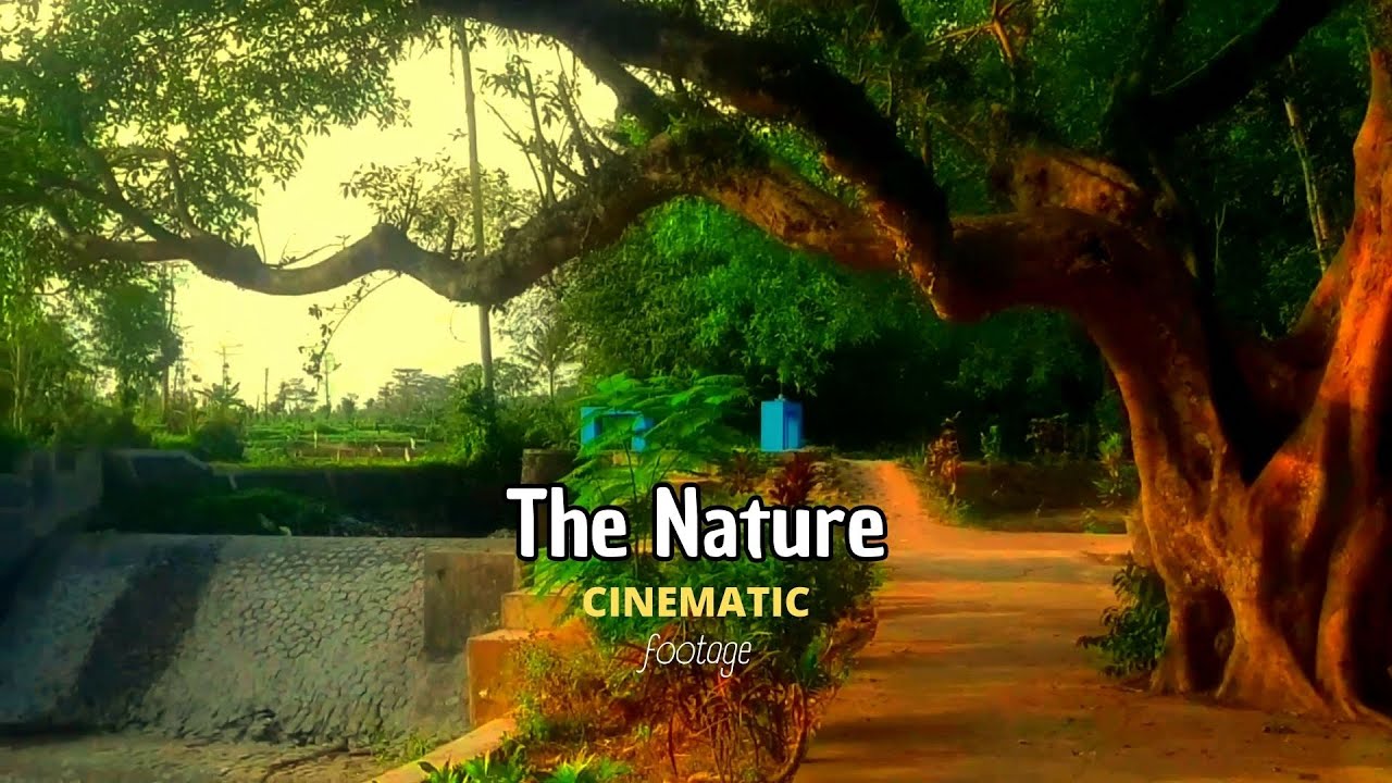 NATURE CINEMATIC | AESTHETIC BACKGROUND VIDEO | INSPIRING AMBIENT ...