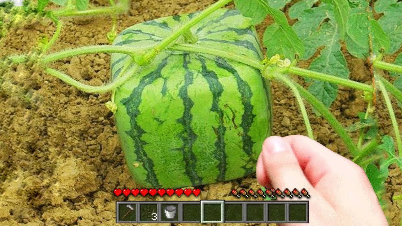 REALISTIC MINECRAFT IN REAL LIFE! - IRL Minecraft Animations / In Real ...
