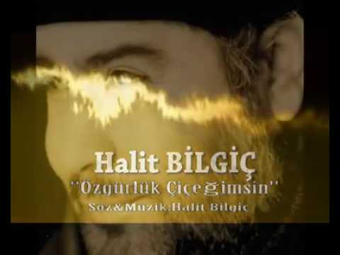 Halit bilgiç-özgürlük çiçeğimsin