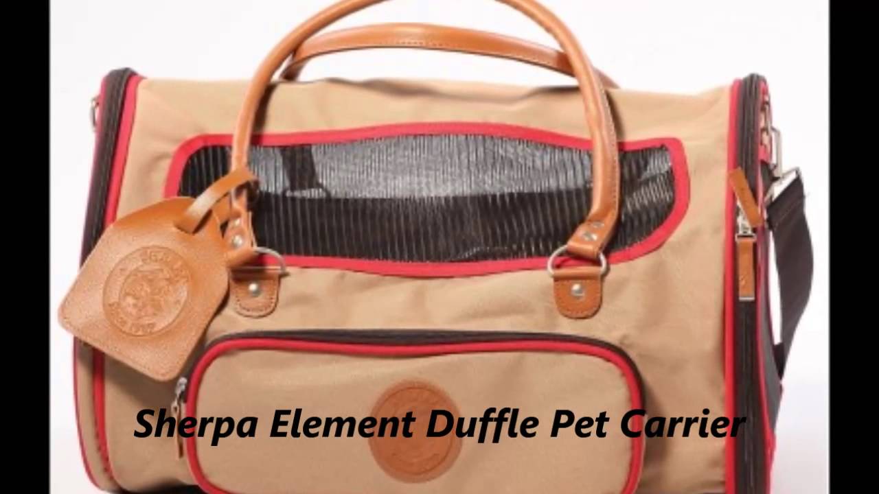 Precious Pets Paradise : Sherpa Cat Carriers - YouTube