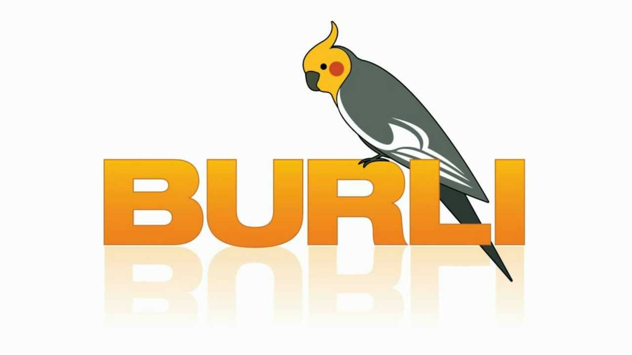 BURLI DEMO - YouTube