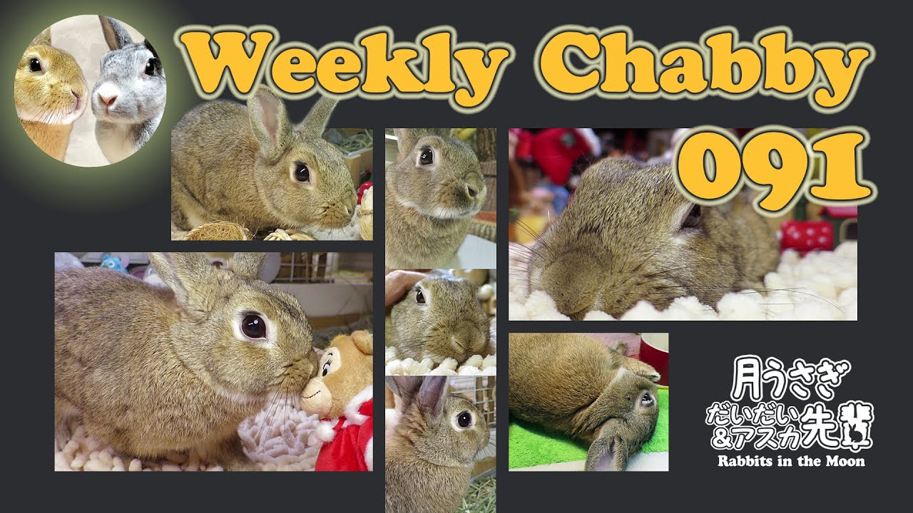Weekly Chabby 091 - YouTube