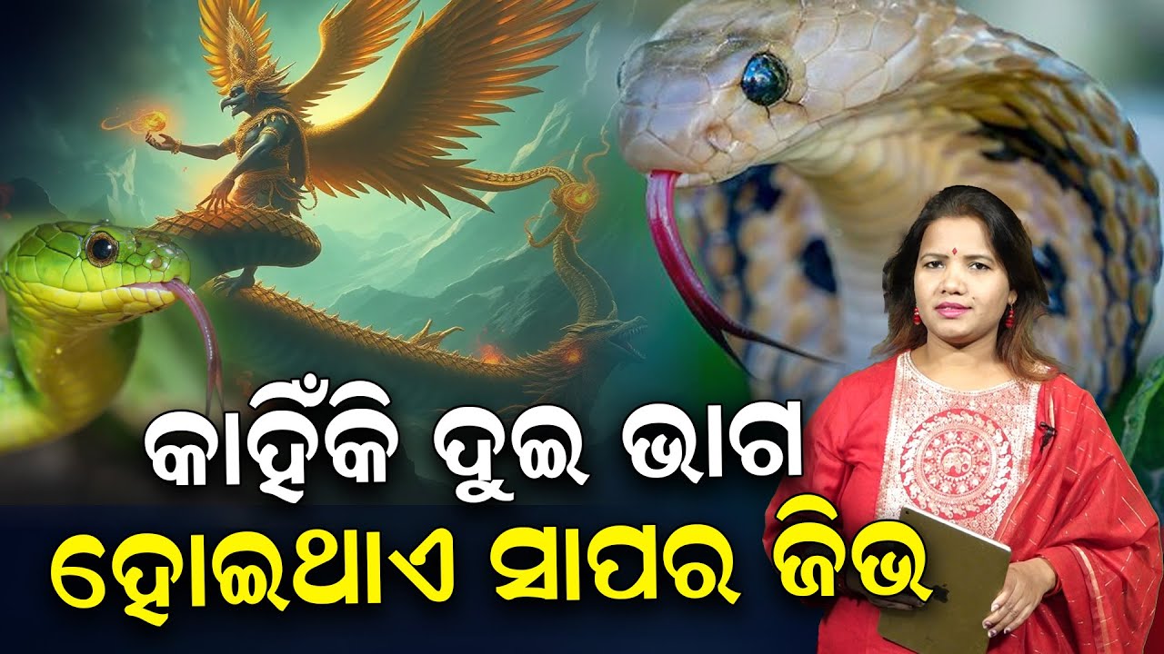 ସାପ ଜିଭ ଦୁଇ ଫାଳ କାହିଁକି ?| कैसे हुआ गरुड़ का जन्म ? | Garuda - Snake ...
