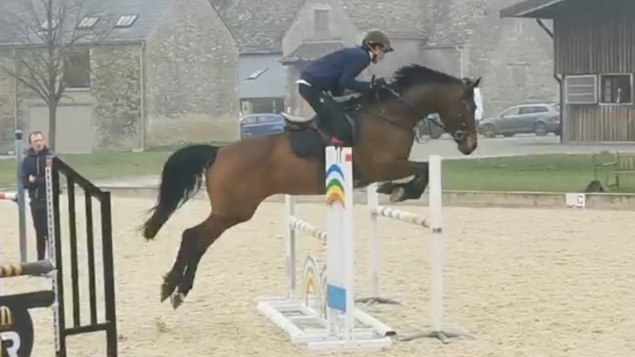 Showjumping on my 7y o Homebred with Badminton Rider Tom Rowland ...