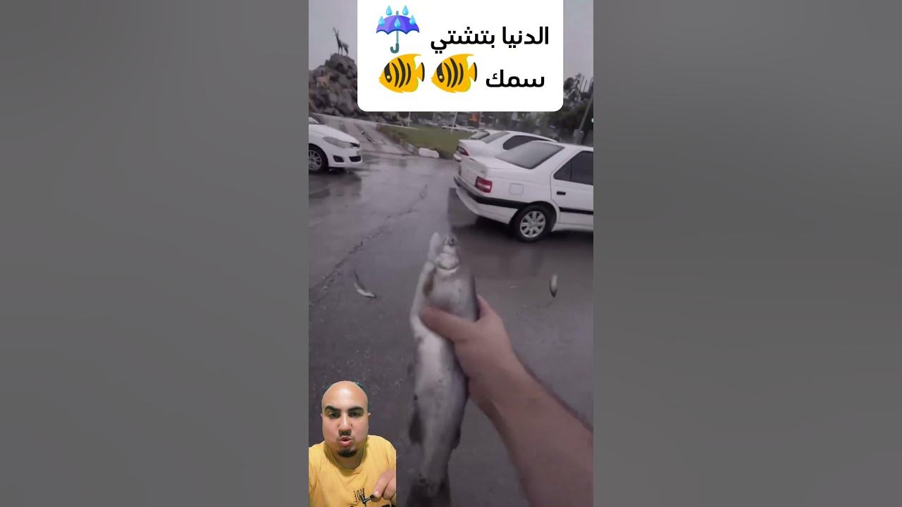 اغرب فيديو شوفتو في حياتي 😳 Shorts Youtube