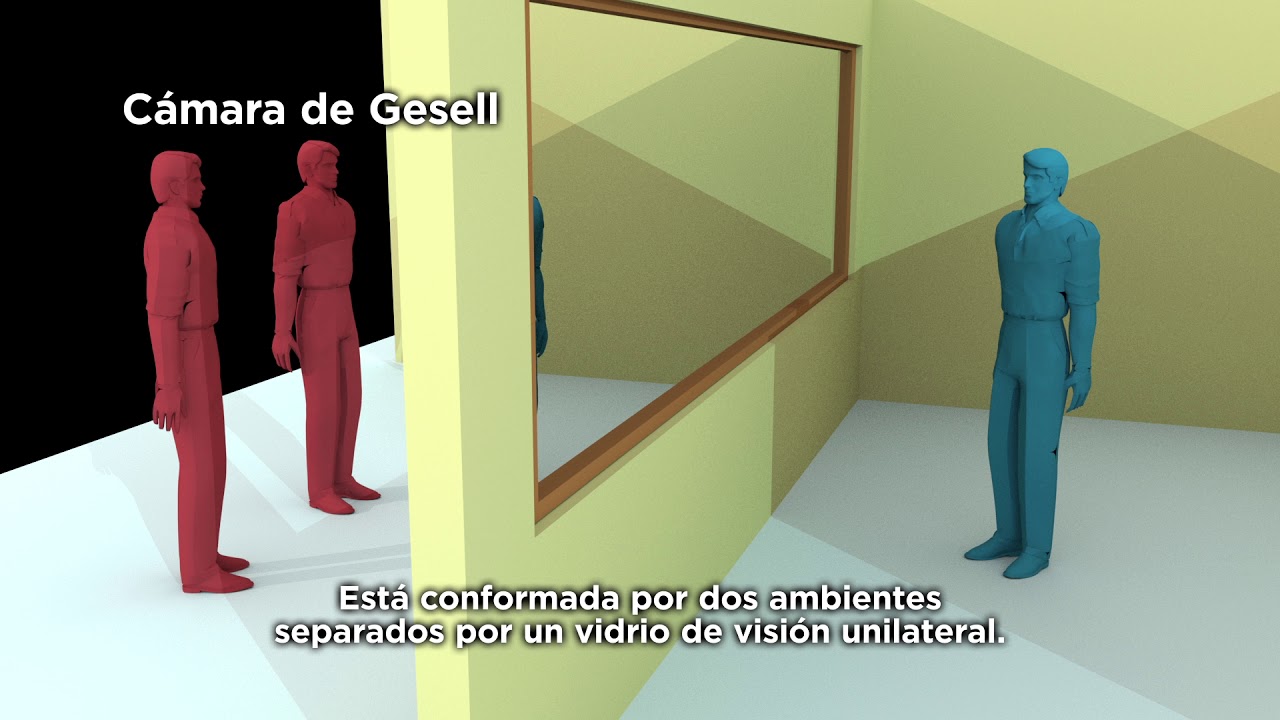 Cámara de Gesell - YouTube