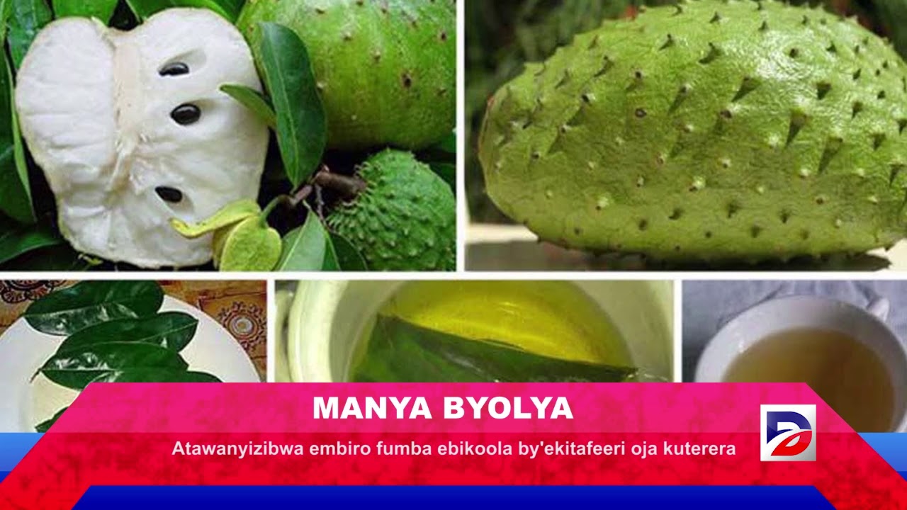 MANYA BYOLYA: ATAWANYIZIBWA EMBIRO FUMBA EBIKOOLA BY'EKITAFERI OJA ...