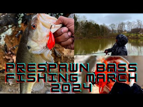Why YOU!!! Need To Throw RED Baits in Pre Spawn!!- BASS Fishing Vlog 01 ...