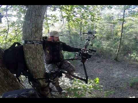 Early Rut Cull Buck - YouTube