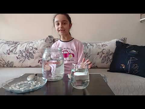 Balıklar Dans Etmeye Başladı! 🎉 - Evde Deney Zamanı. #bilim #deney