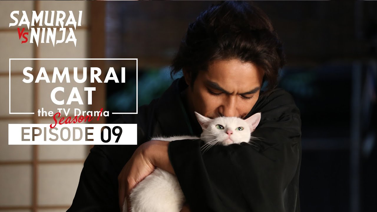 Samurai Cat Full Episode 9 | SAMURAI VS NINJA | English Sub - YouTube