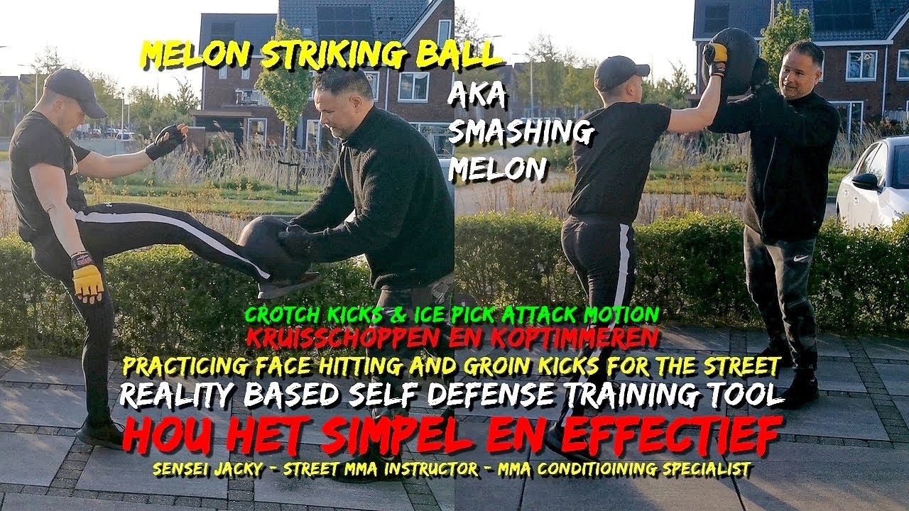 Groin Kick (Kin Geri)(Kruistrap) & Hammer Fist Strike To The Head With ...