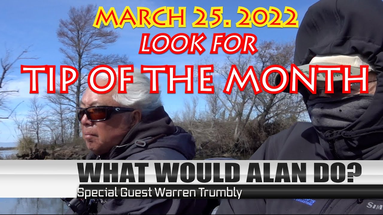 "What Would Alan Do?" TIP OF THE MONTH with Special Guest Warren ...