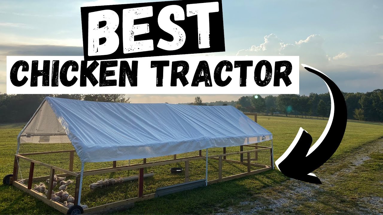 The Best Chicken Tractor design! - YouTube