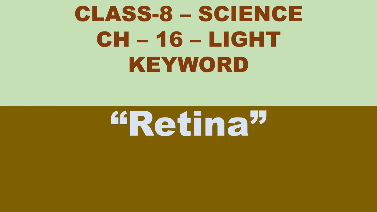 Definition of Retina for class 8 science. - YouTube