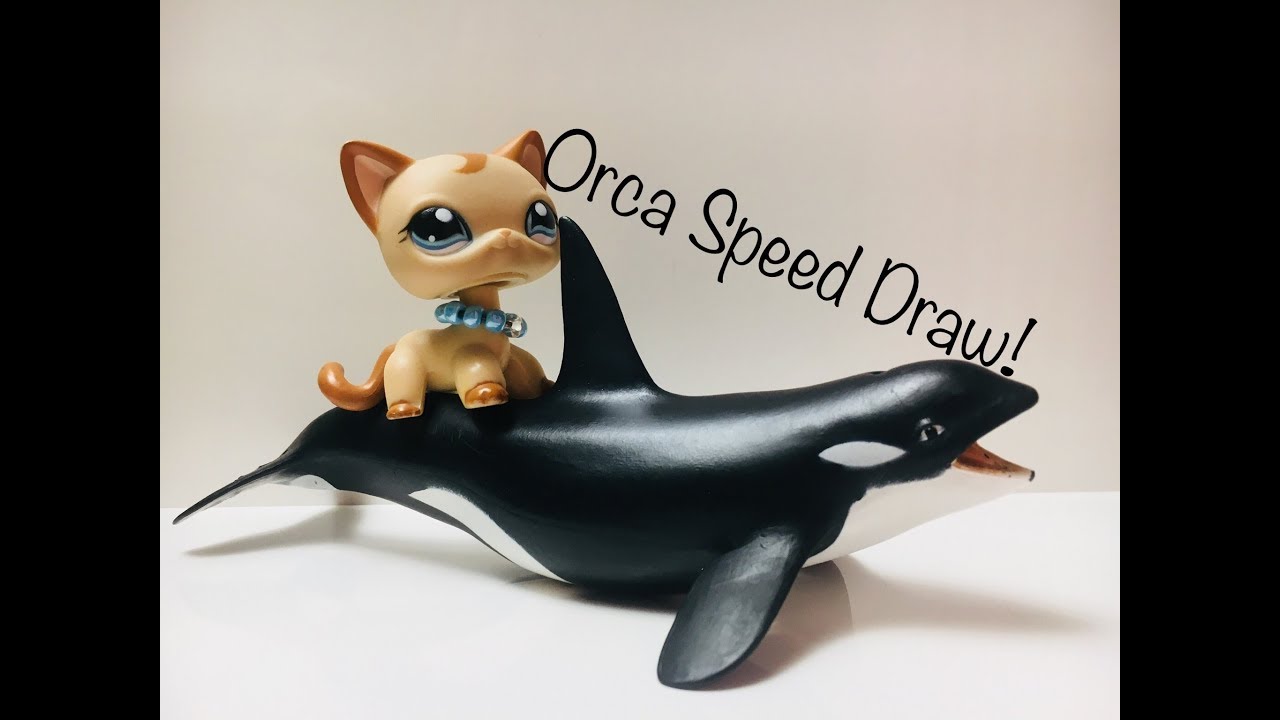 LPS: Orca Speed Draw!🐬 - YouTube