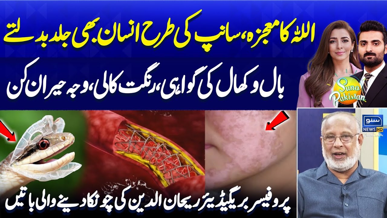 Miracles of Allah | Quranic Facts About Human Skin & Hair | Prof ...