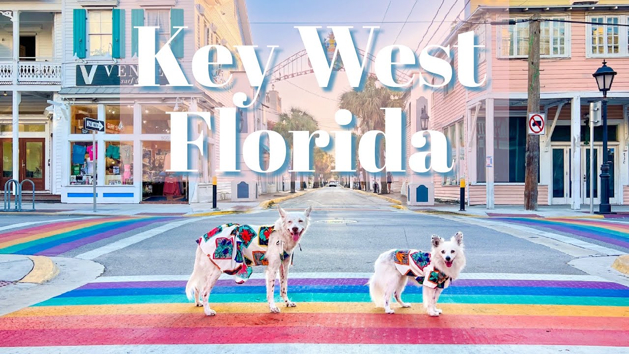 A Dog Friendly Weekend in Key West, Florida - YouTube