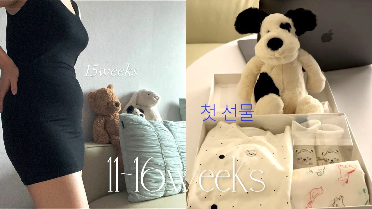 임산부 브이로그 임신 11~16주 안정기 돌입 1차 기형아검사 입체 초음파했어요 분명태동이야 임산부 바디필로우