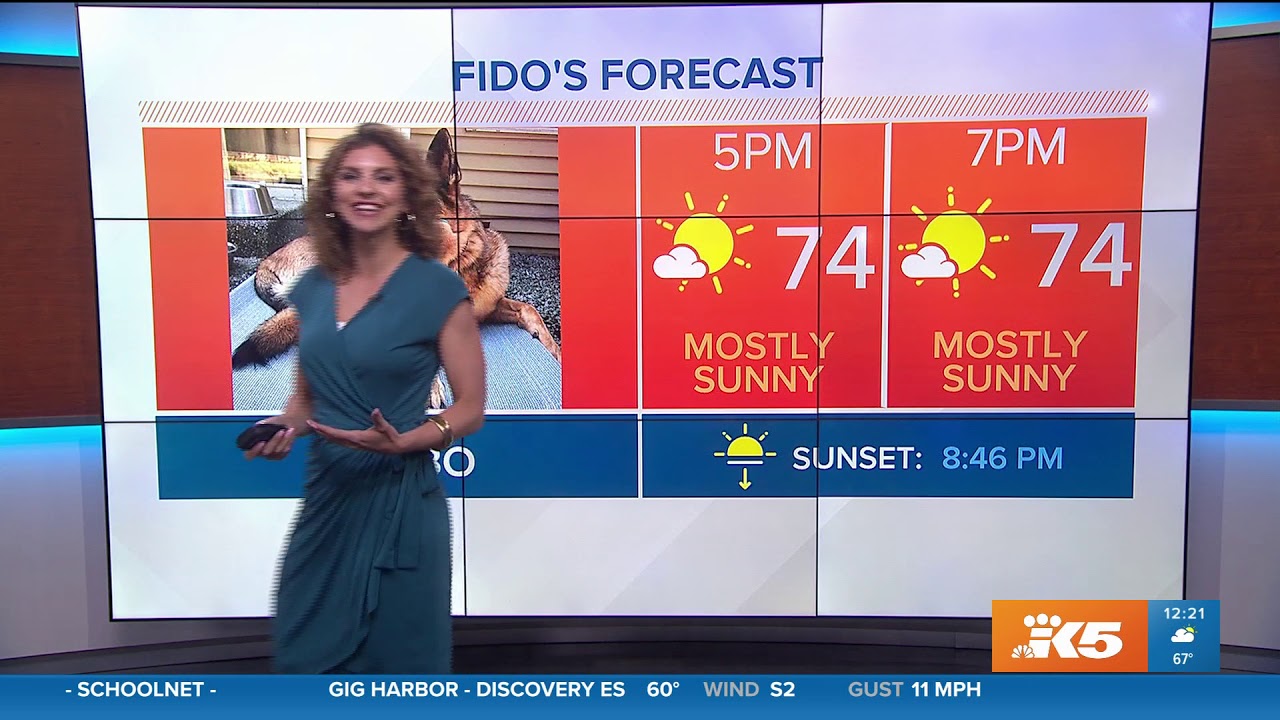 Seattle, WA Forecast July 30, 2019 - YouTube