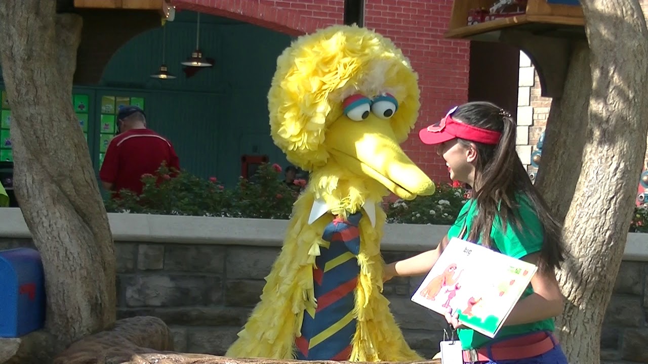 Storytime with Big Bird at SeaWorld 2020 - YouTube