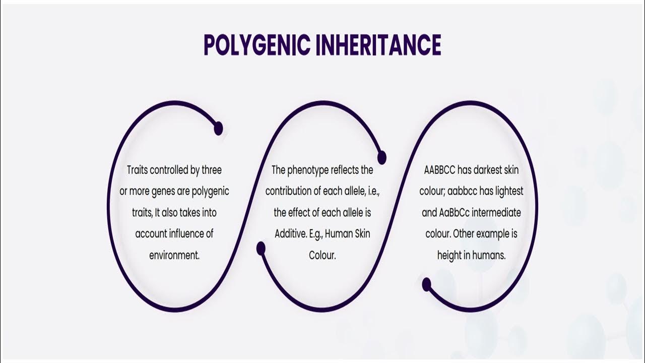 PRINCIPLE BASIS OF INHERITANCE {SP NOTES} - YouTube