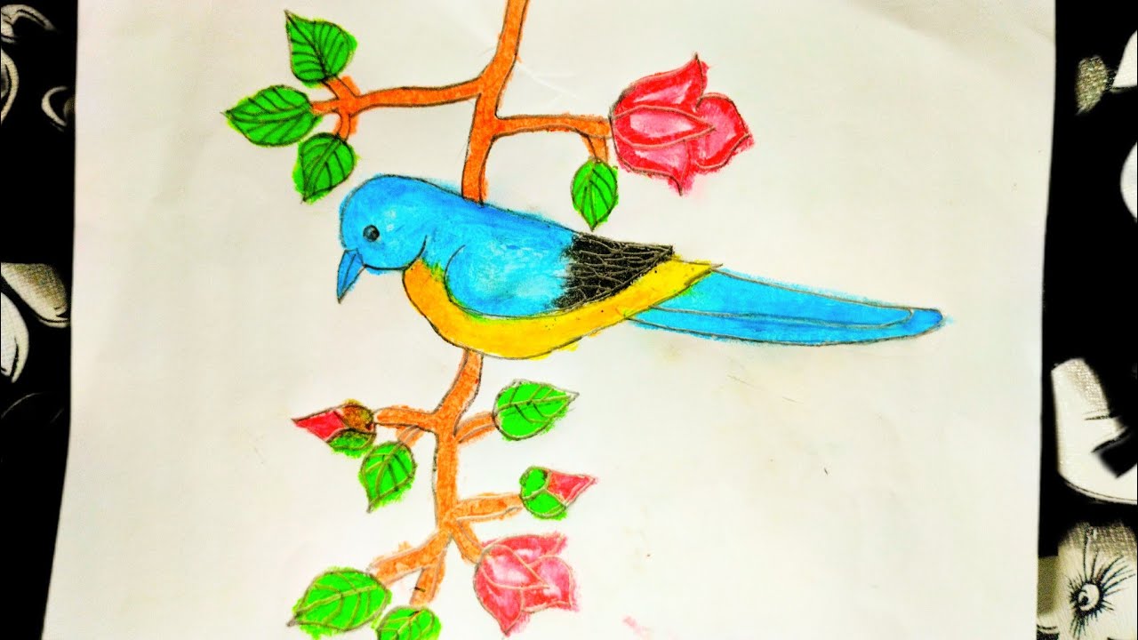 Bird Drawing For Beginners || How to draw bird easy || Bird and colour ...