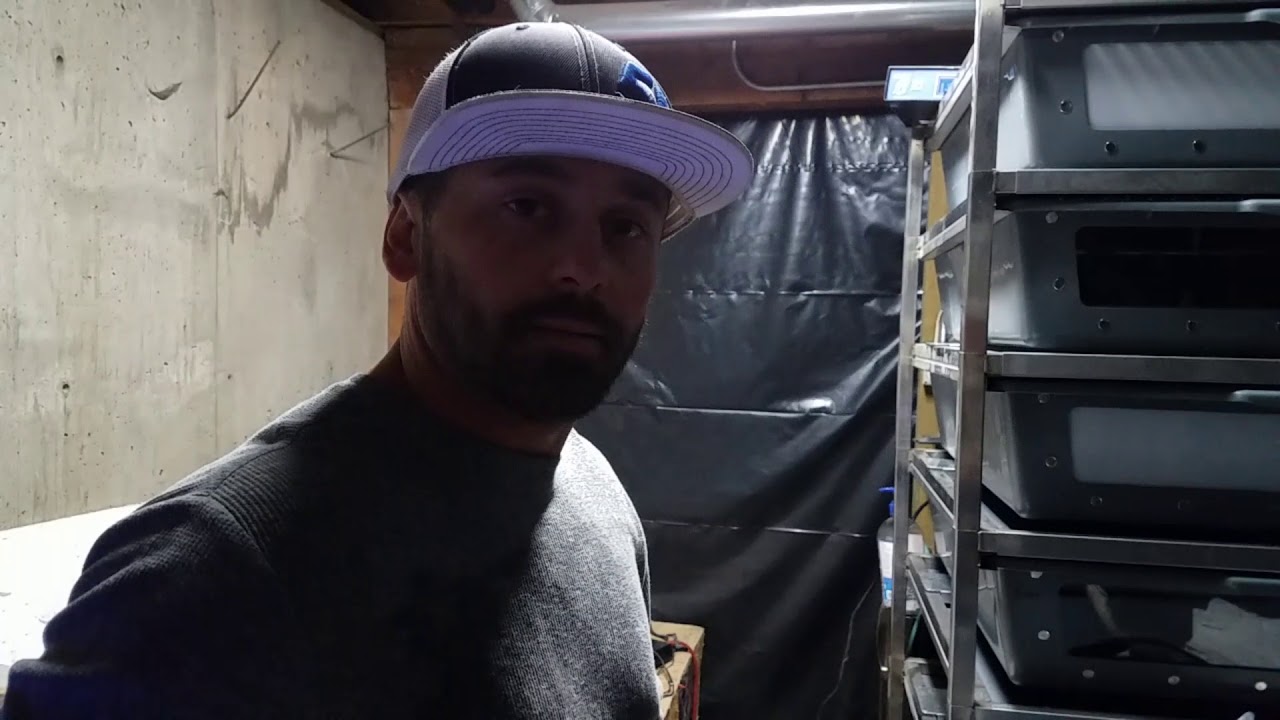 Freedom Breeder Racks And Retics - YouTube