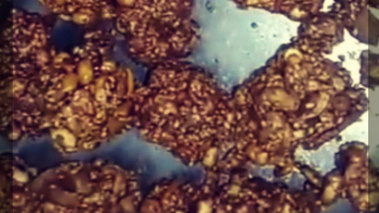 Murunda recipe by Mom#wintervibes#healthysnack#desiculture#ayeshasworld ...