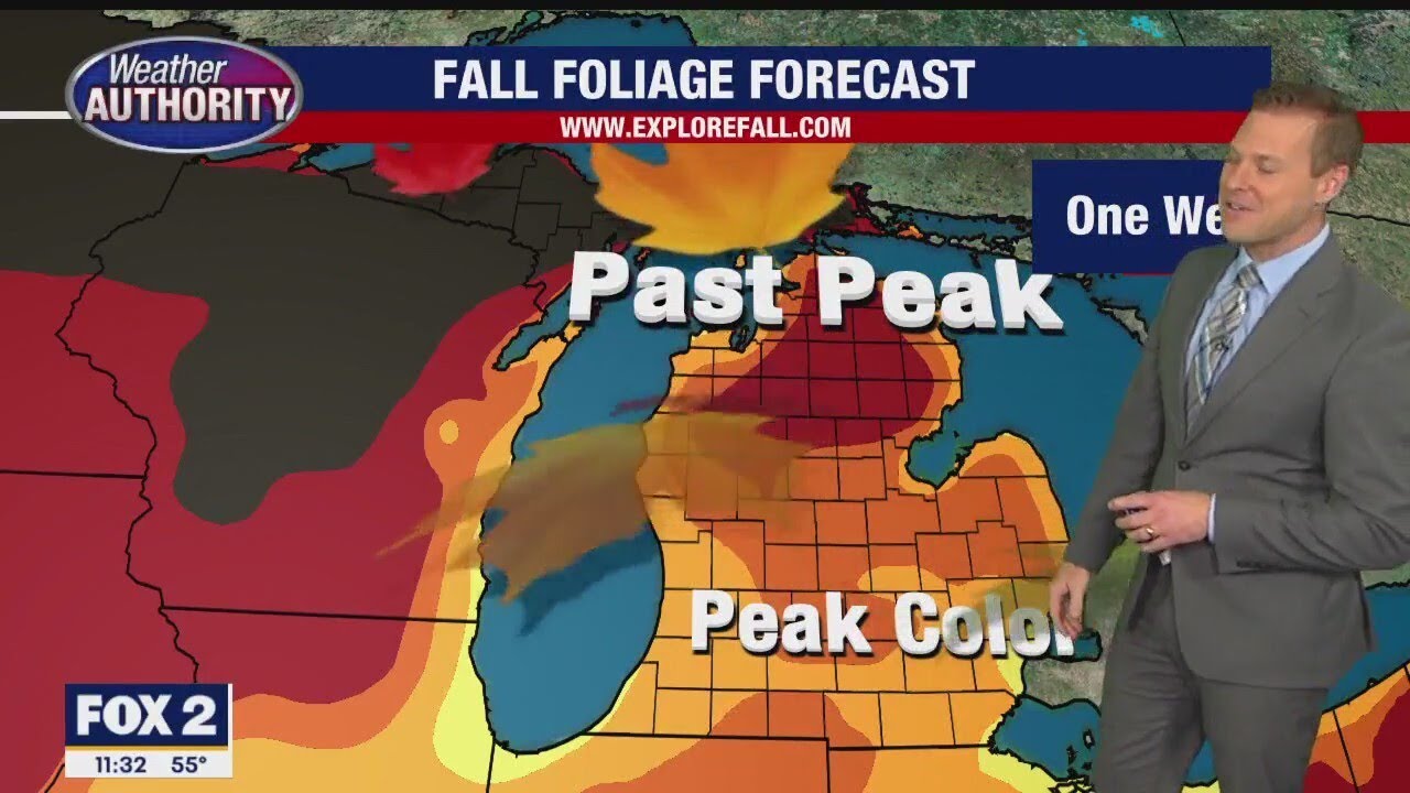 Fall colors are starting to peak in Michigan - YouTube