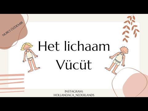 NT2 - #nederlandsleren - HET LICHAAM - VÜCUT  #hollandacaögreniyorum  #filamanca  #breakhtrough #nt2
