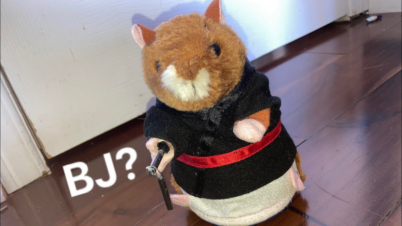 BJ : Rat Teacher {knock off kung fu hamster} - YouTube