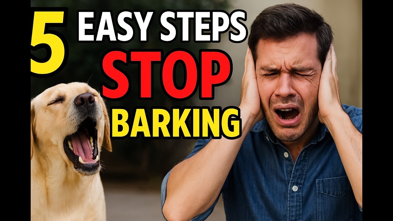 5 Easy Steps to Stop Your Dog's Excessive Barking - YouTube