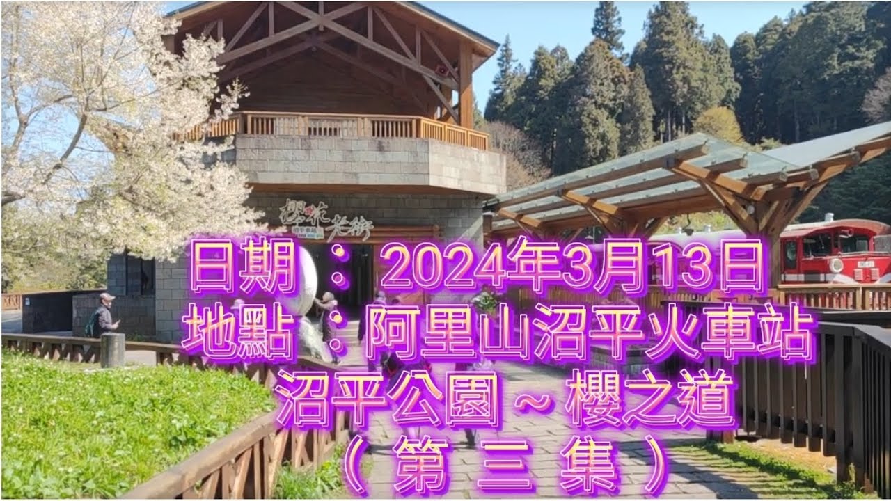 2024/3/13 阿里山沼平火車站( Zhaoping Station )沼平公園（ Zhaoping Park )~ 櫻之道（ 第 三 集 ...